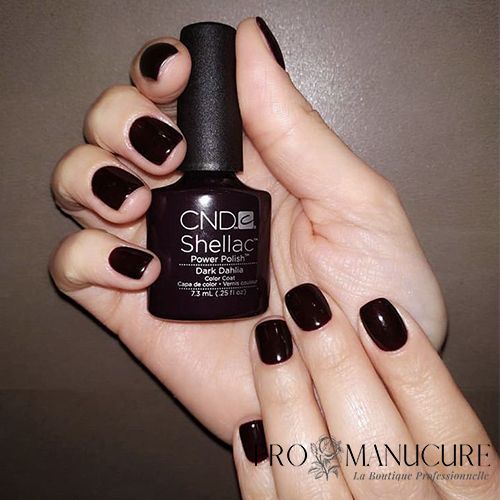 CND Shellac - Dark Dahlia 7.3ml